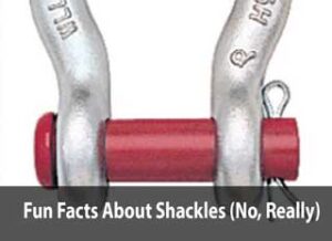Fun Facts About Shackles (No, Really) - LGH Canada